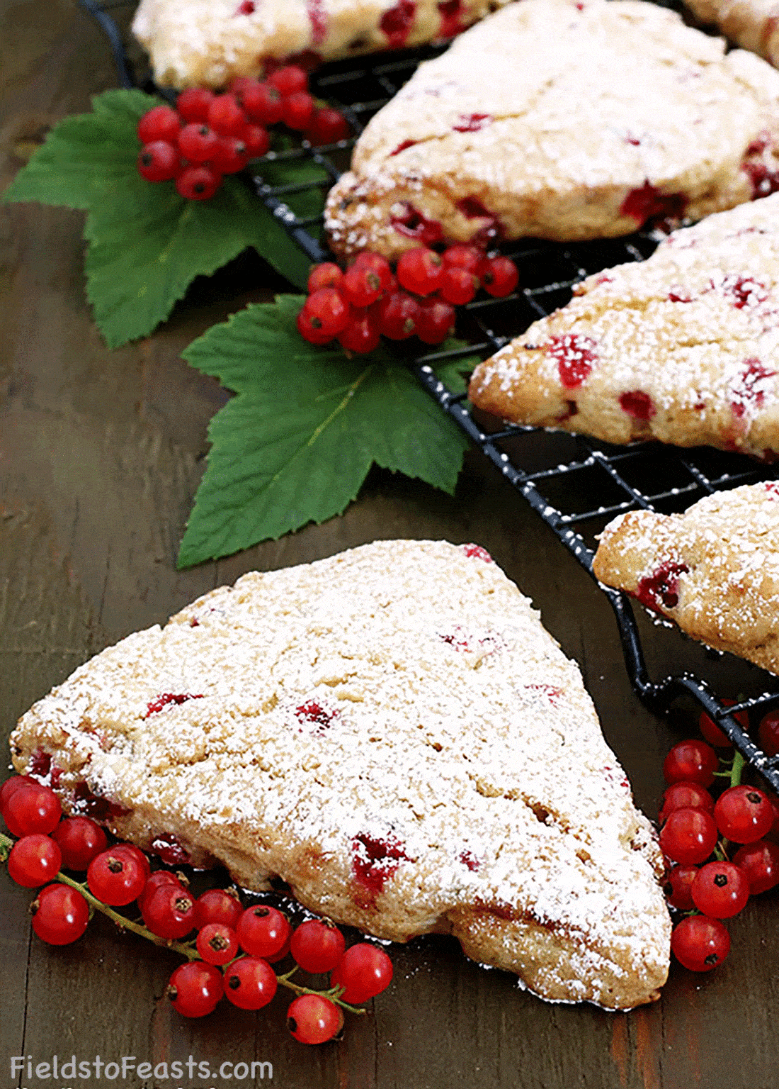 Easy Red Currant Scones (Your New Favorite Tea-Time Recipe)