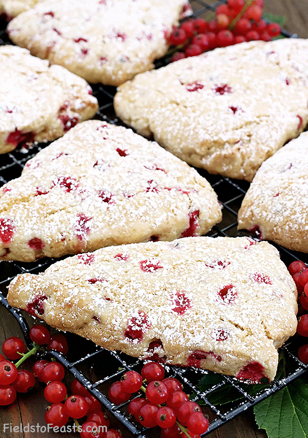 Easy Red Currant Scones (Your New Favorite Tea-Time Recipe)
